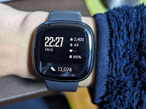 Fitbit Sense2を1年間使いました。本音で語らせて下さい。 Fitbit Sense2を1年間使いました。本音で語らせて下さい。